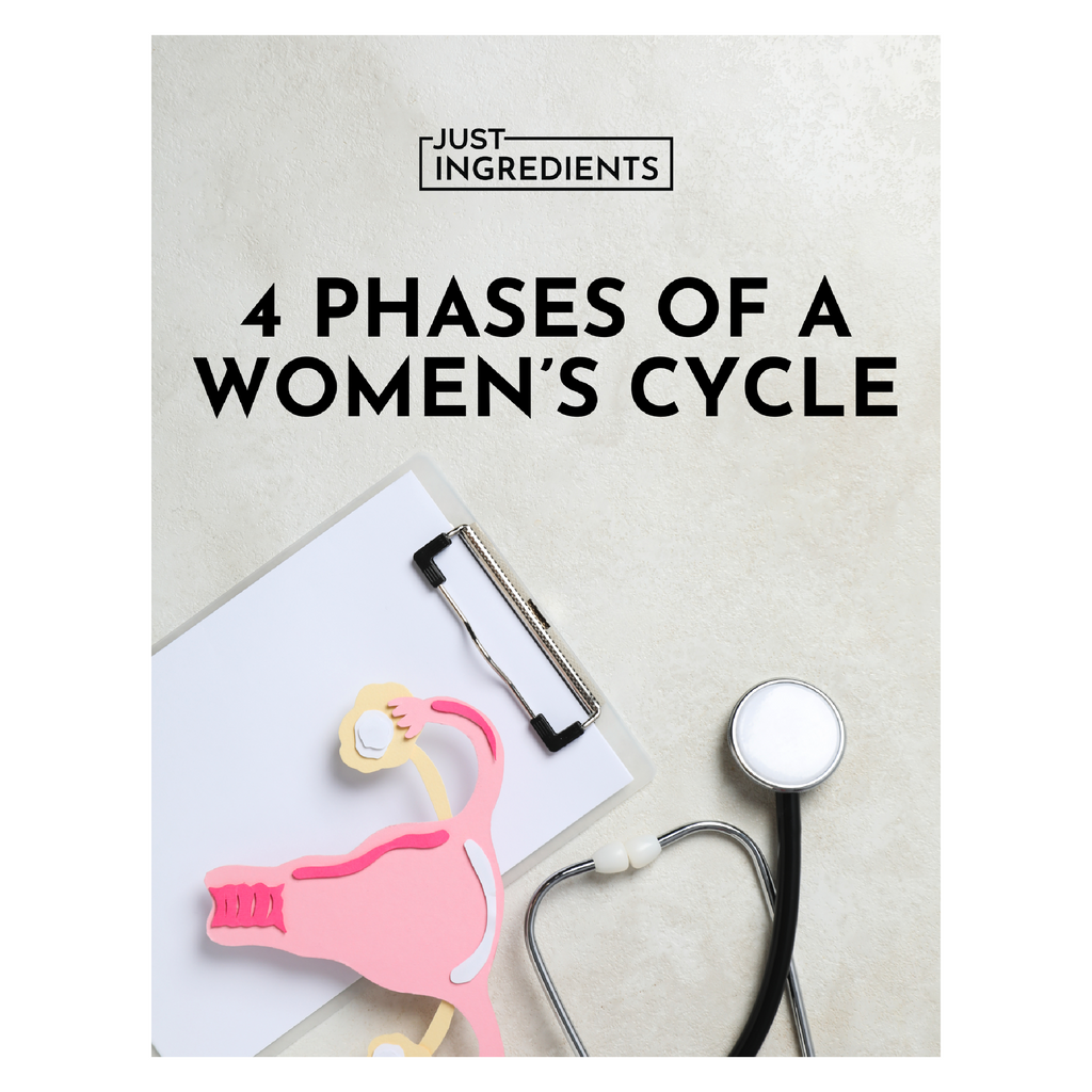 4 Phases of a Women's Cycle – Just Ingredients