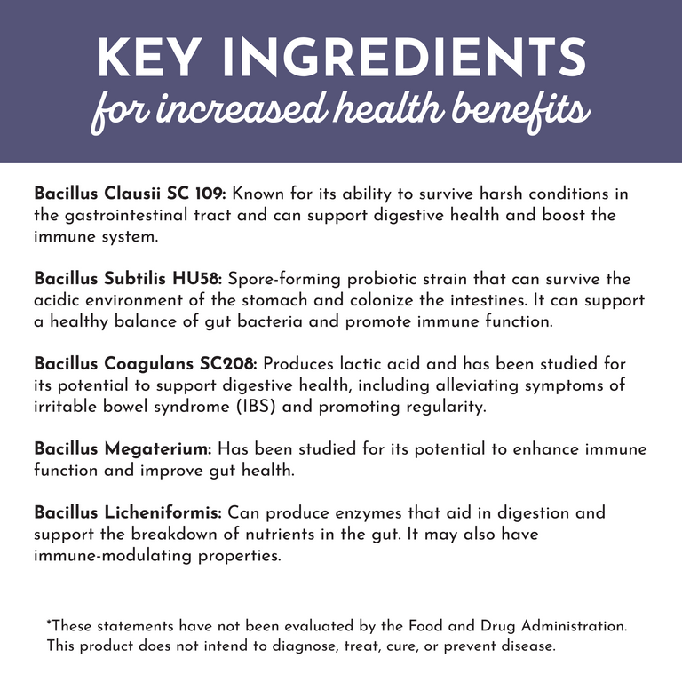 Elderberry Lemonade 3-In-1 Probiotic Complex – Just Ingredients