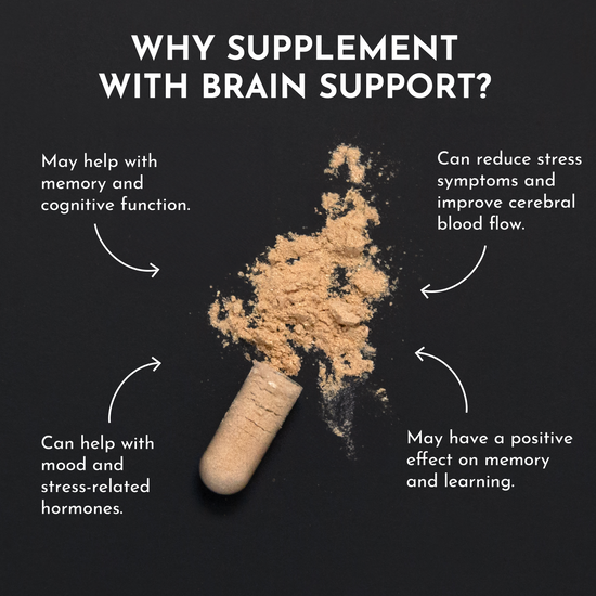 Brain Support – Just Ingredients