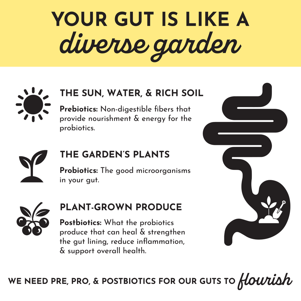 Lemon Ginger 3-In-1 Probiotic Complex – Just Ingredients