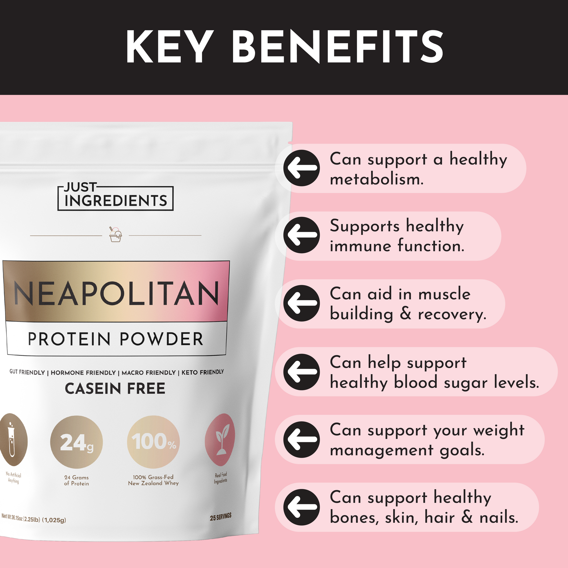 Neapolitan Protein Powder – Just Ingredients