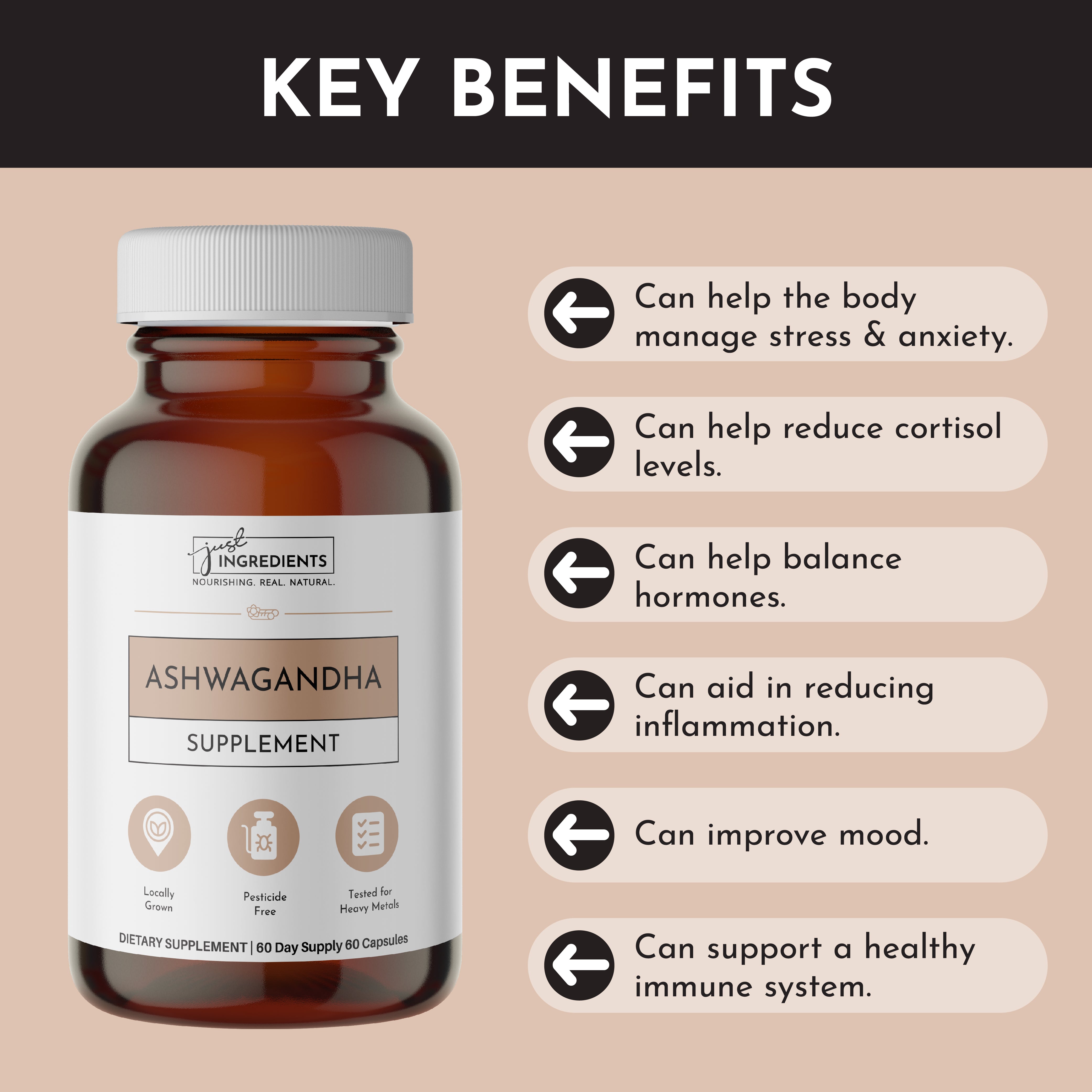Ashwagandha Capsule – Just Ingredients