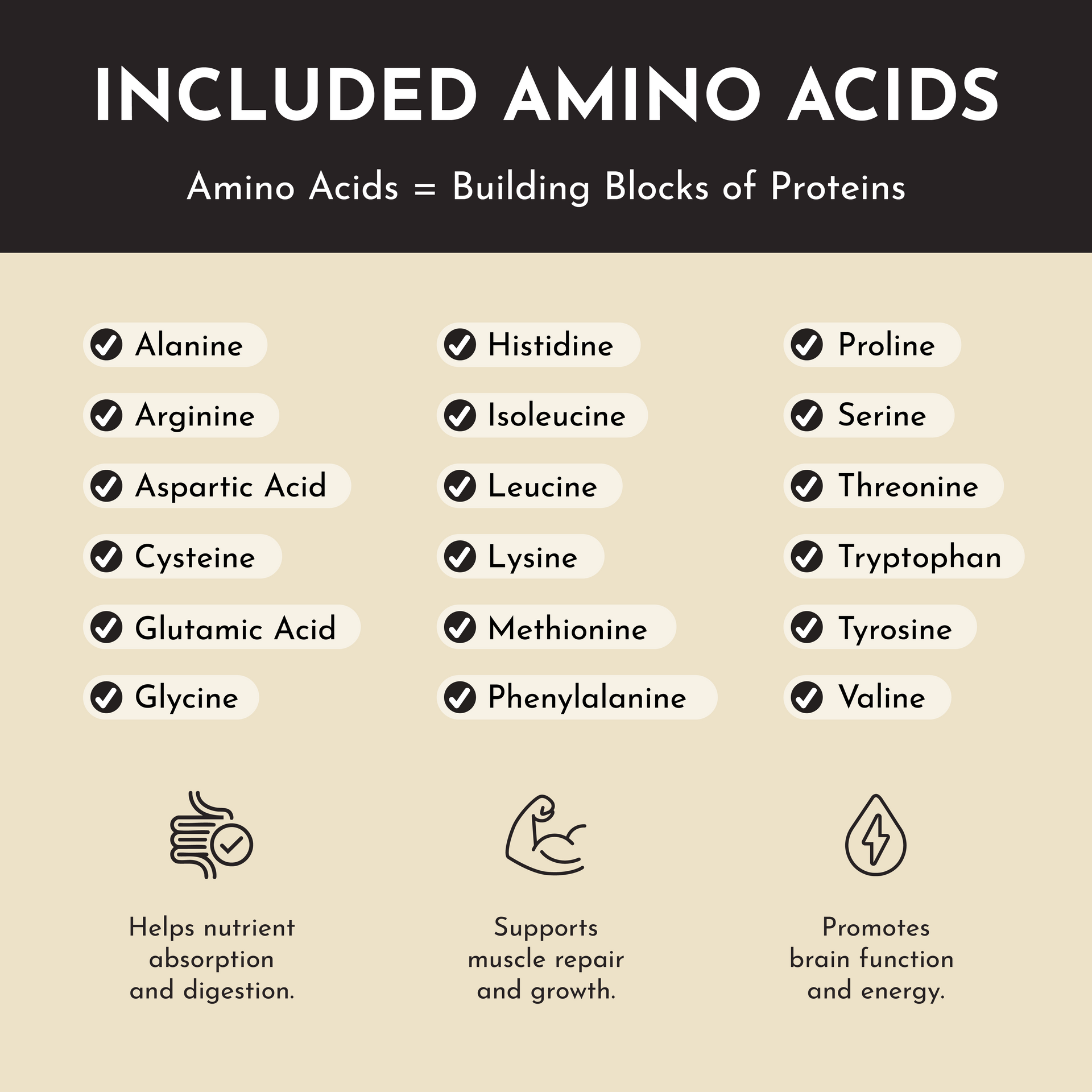 Just Plain Protein Powder – Just Ingredients