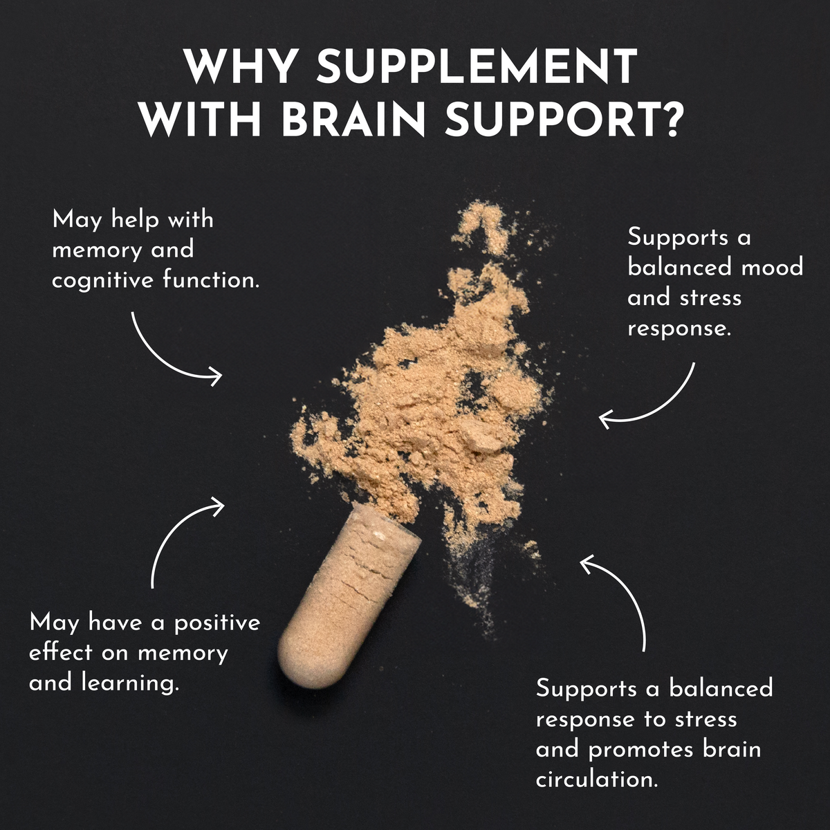 Brain Support – Just Ingredients