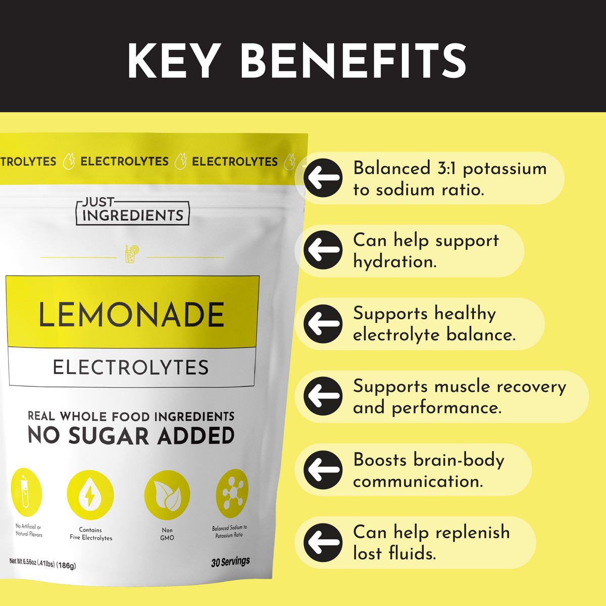 Lemonade Electrolytes – Just Ingredients