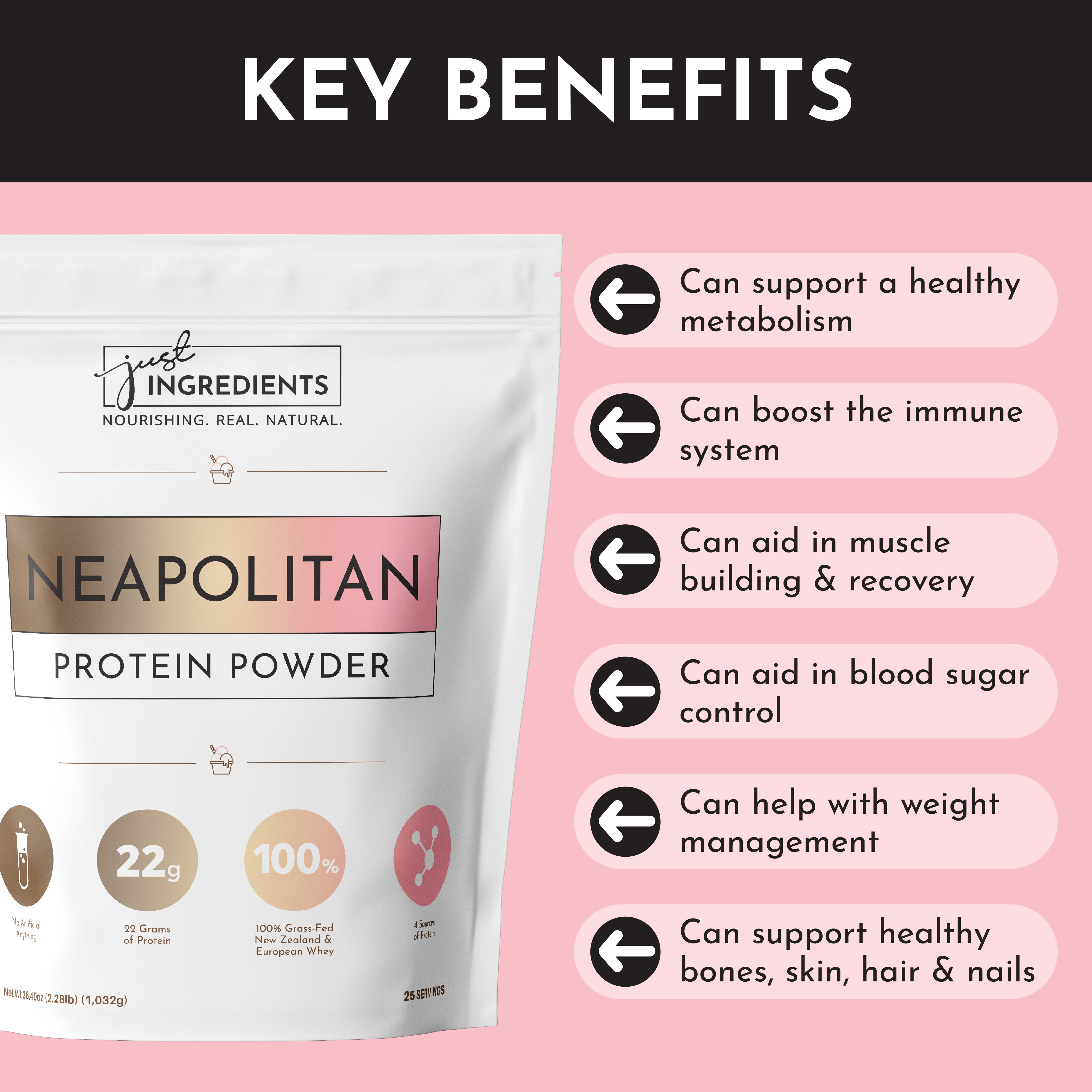 Neapolitan Protein Powder – Just Ingredients
