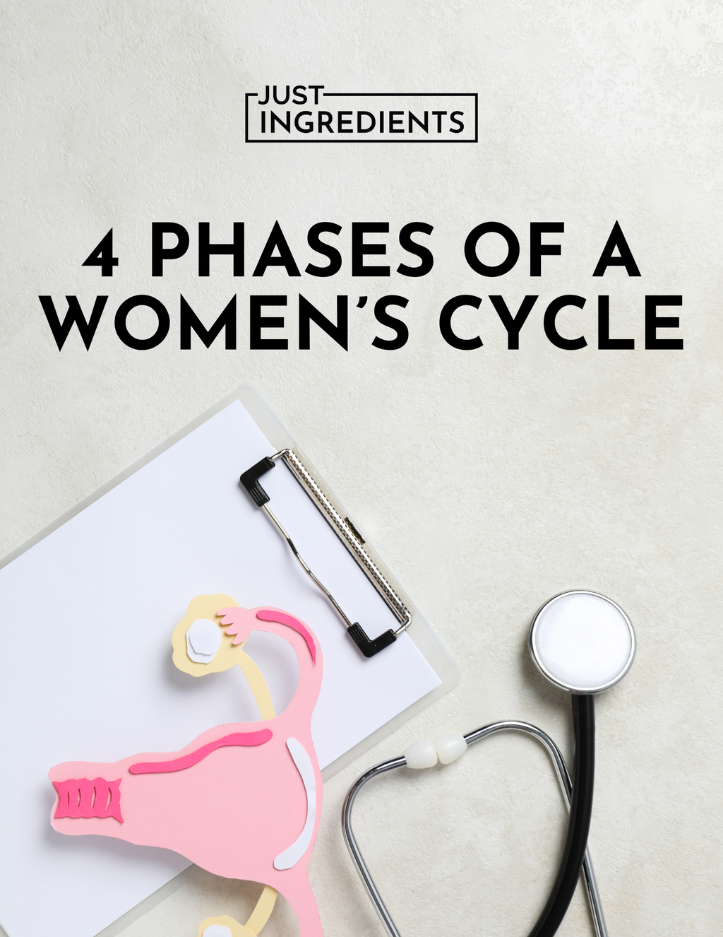 4 Phases of a Women's Cycle – Just Ingredients