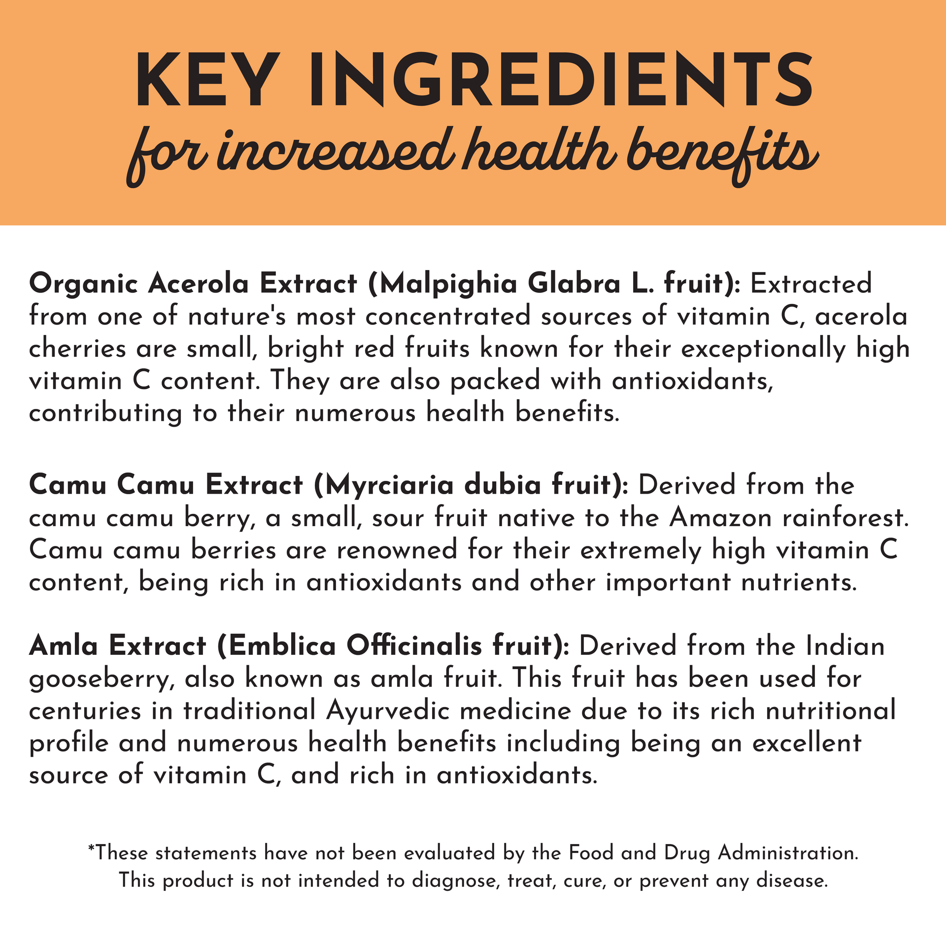 Whole Food Vitamin C Complex – Just Ingredients